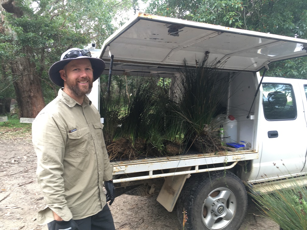 Coastal Weeds Project – Far South Coast Landcare Association